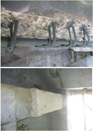 Shell Timur Sandakan - Marinland